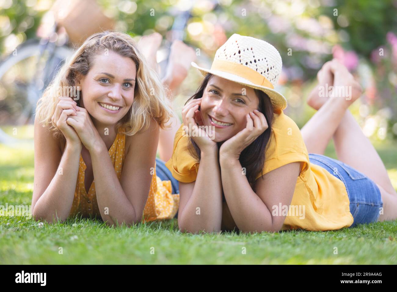 two best friends laying on the green grass Stock Photo - Alamy
