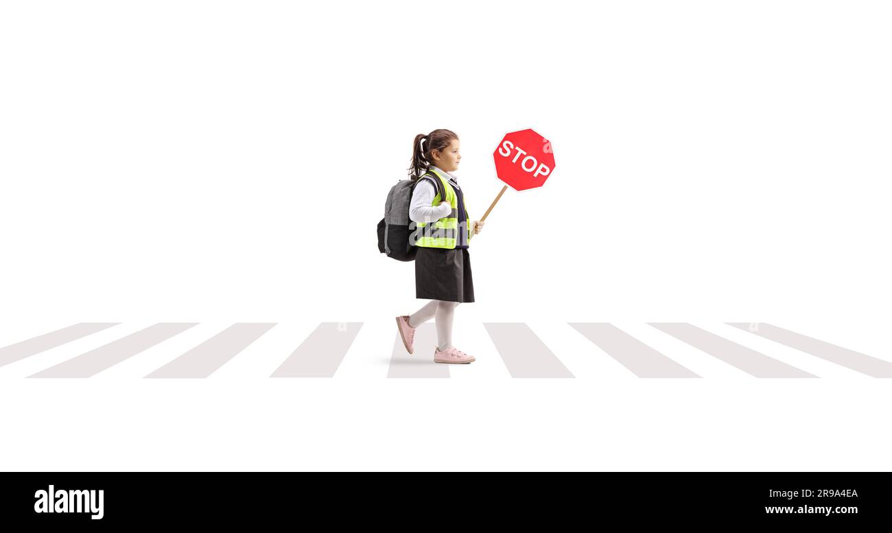 Schoolgirl carrying a stop sign and walking at a pedestrian crosswalk ...