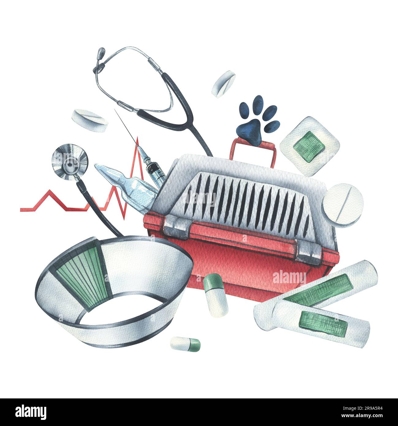 Veterinary equipment. Watercolor illustration. . For the design and ...