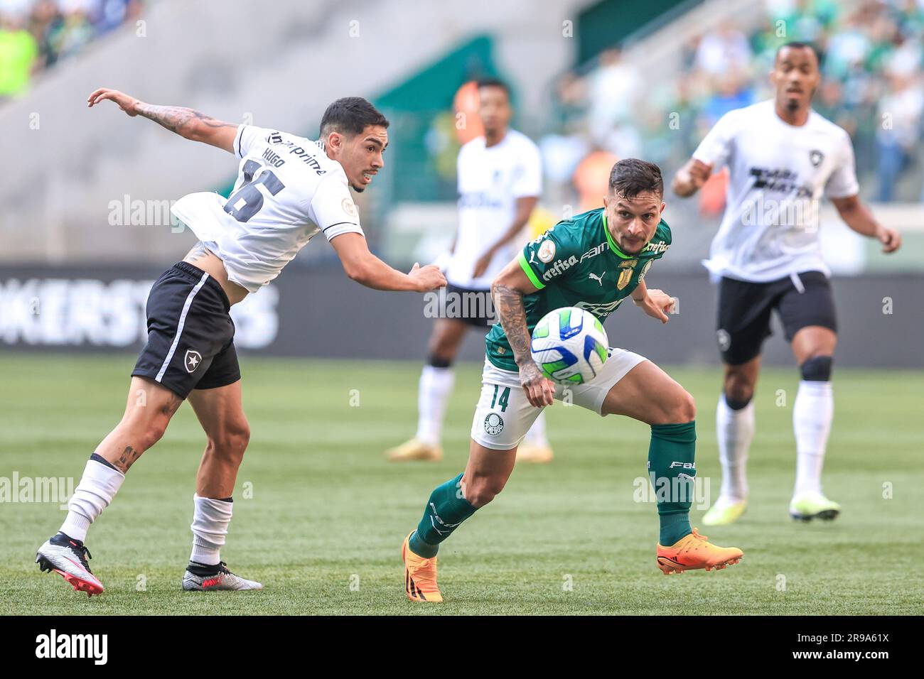 SP - SAO PAULO - 06/25/2023 - BRAZILEIRO A 2023, PALMEIRAS X BOTAFOGO ...