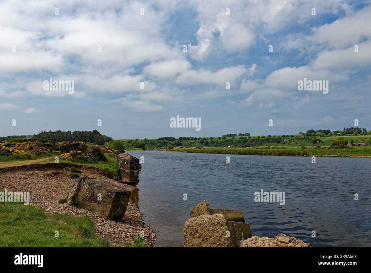 Toppled Wartime Tank Traps line the bank of the River North Esk near to ...