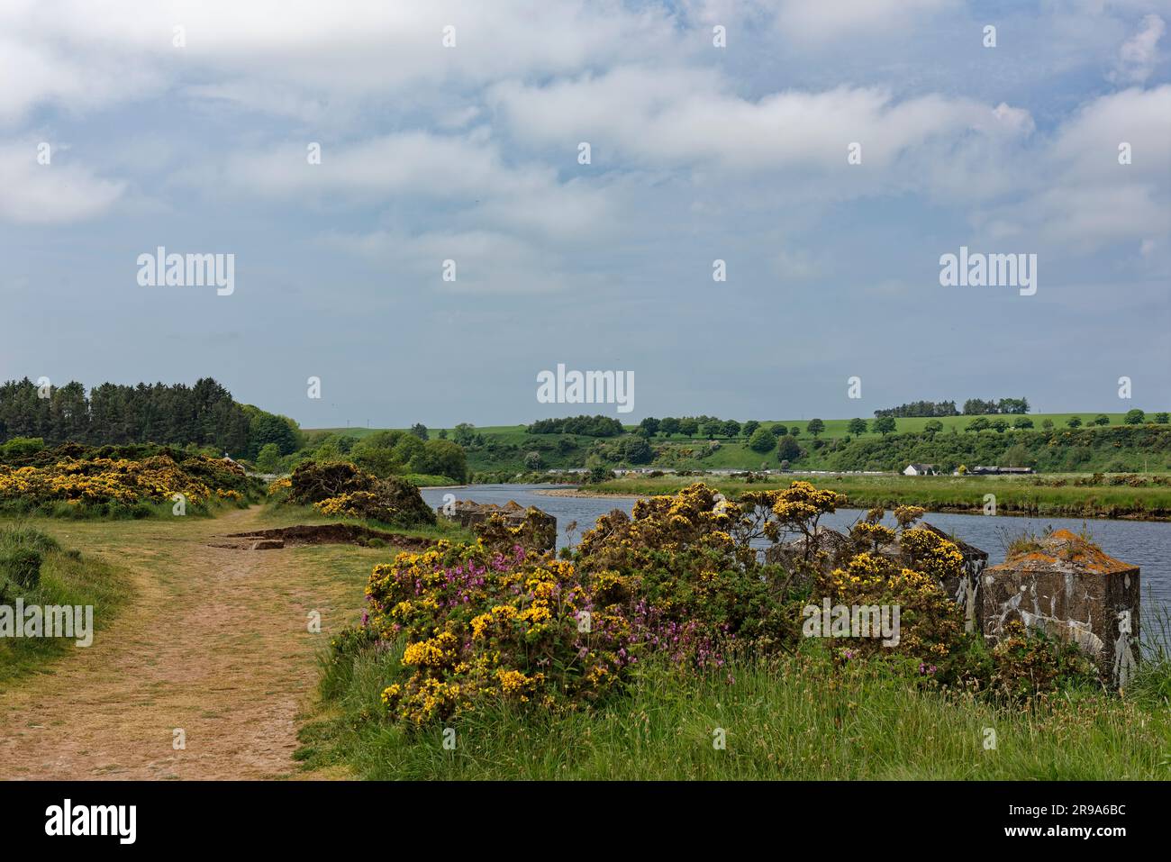 The well used Footpath at Kinnaber links following the River bank of ...