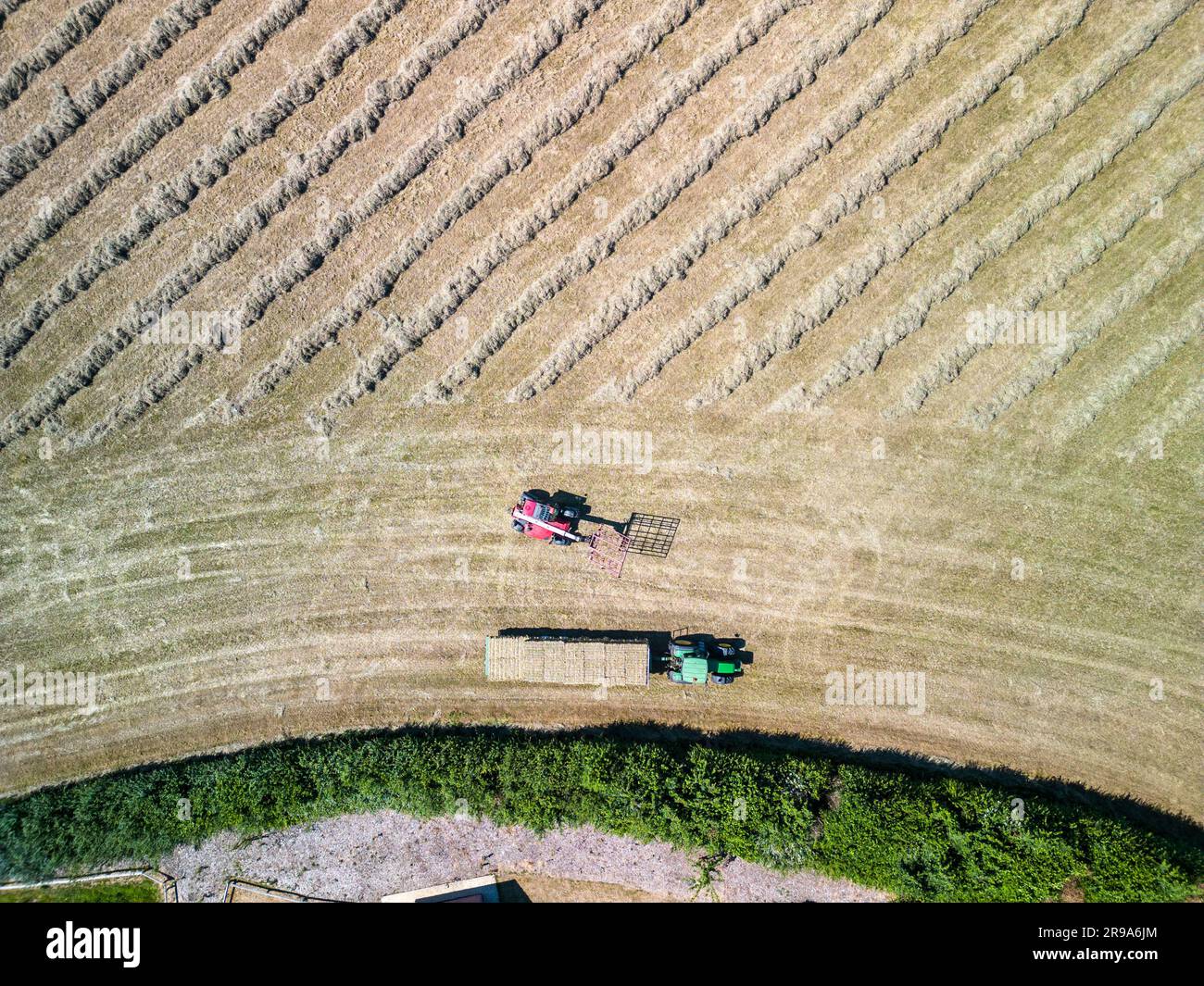 Hay cutting and harvesting with Farm Machinery bale grabber in summer ...