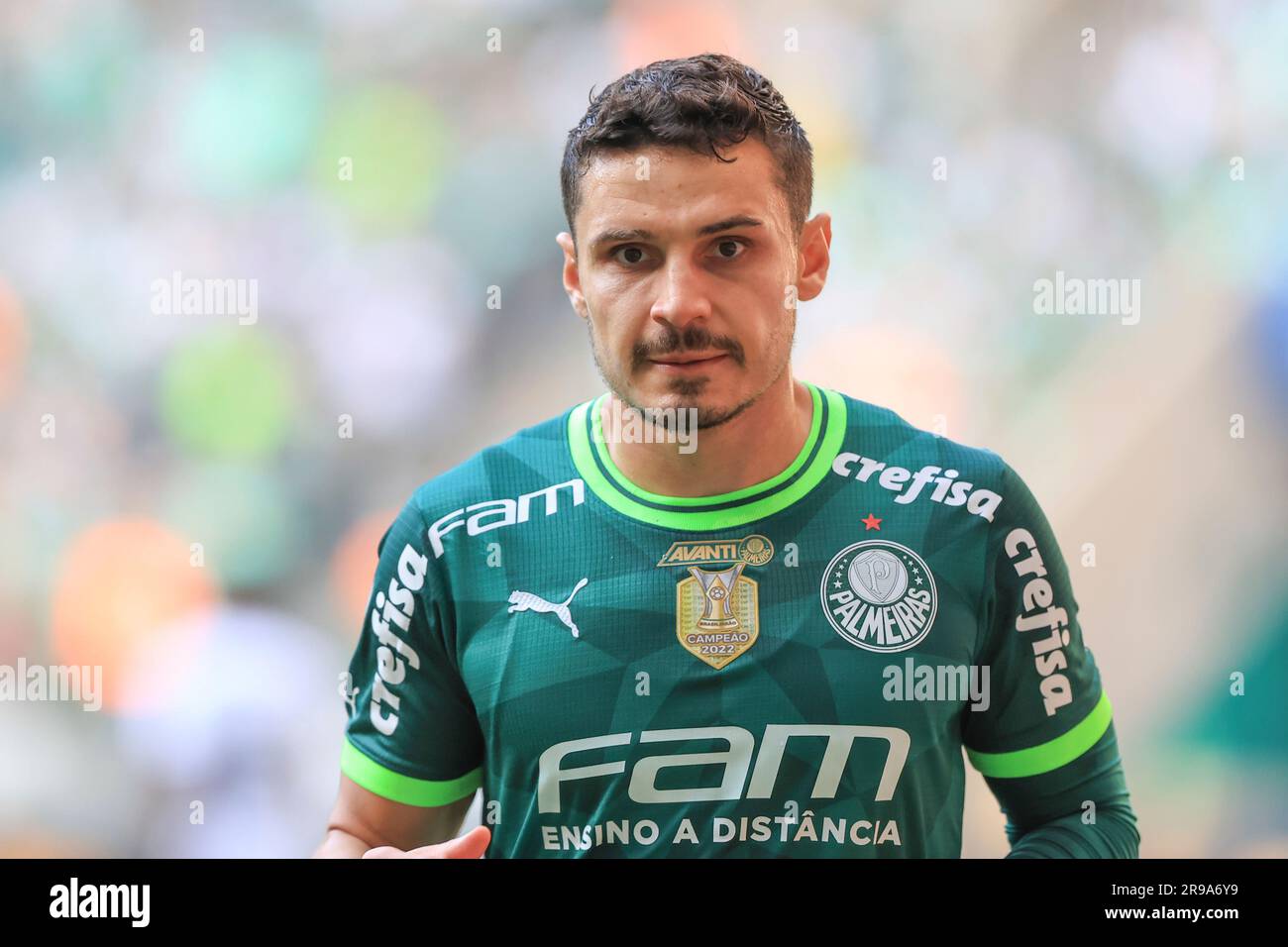 SP - SAO PAULO - 06/25/2023 - BRAZILEIRO A 2023, PALMEIRAS X BOTAFOGO ...