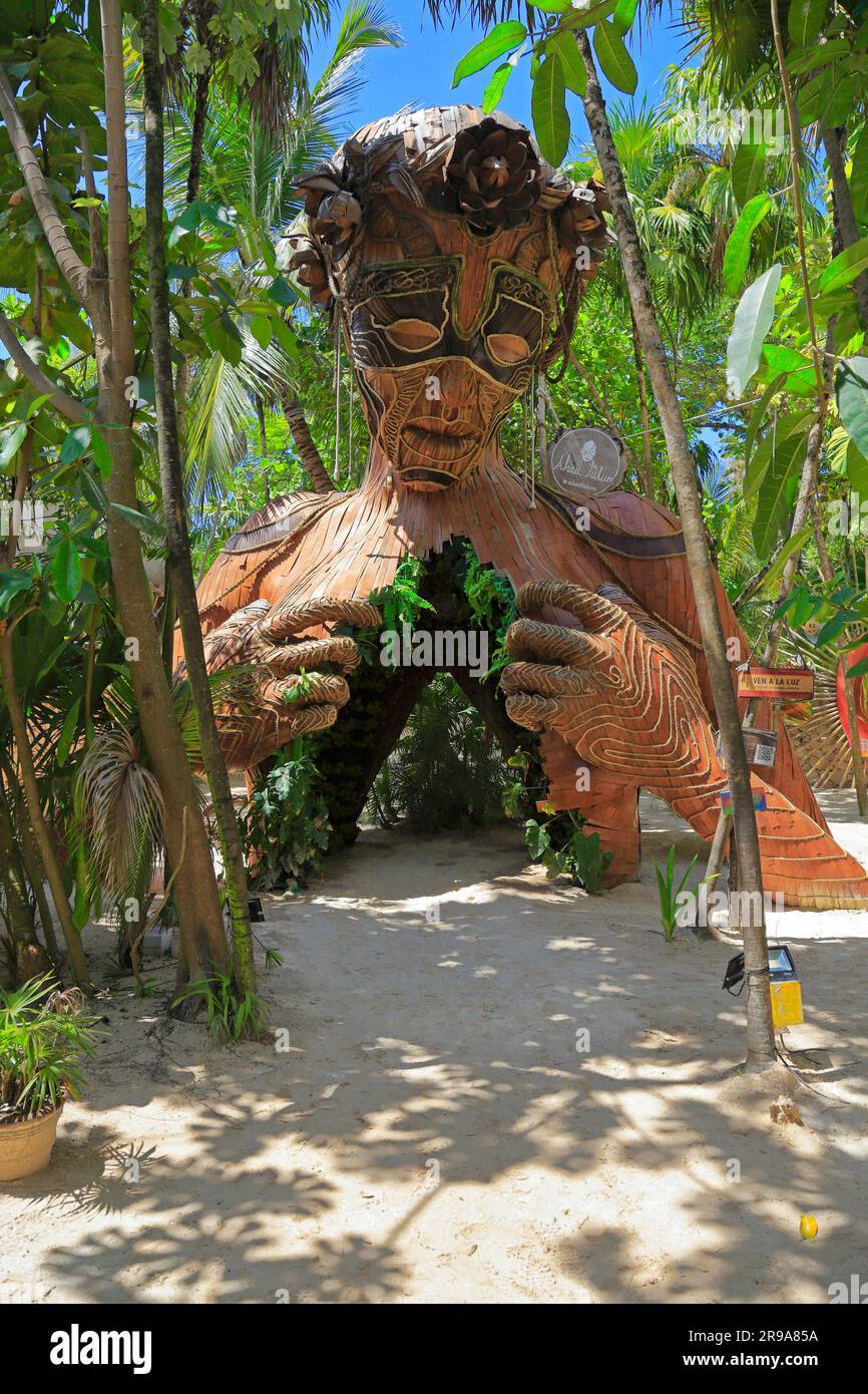 Daniel popper hi-res stock photography and images - Alamy