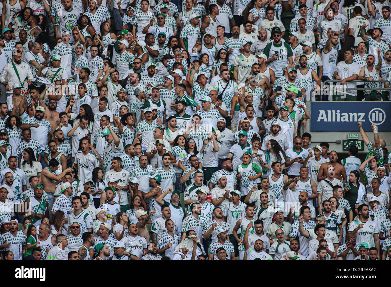 Torcida palmeiras hi-res stock photography and images - Alamy