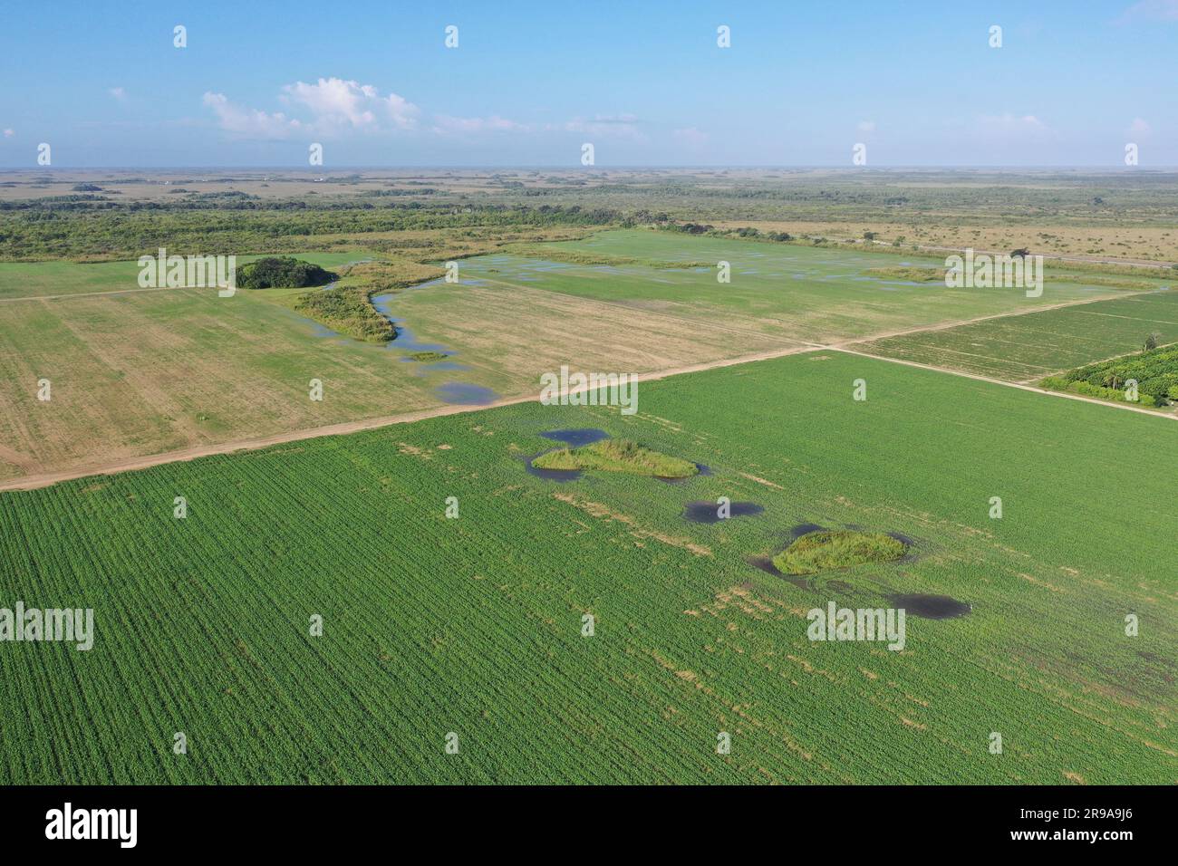 Aerial image of everglades hi-res stock photography and images - Alamy