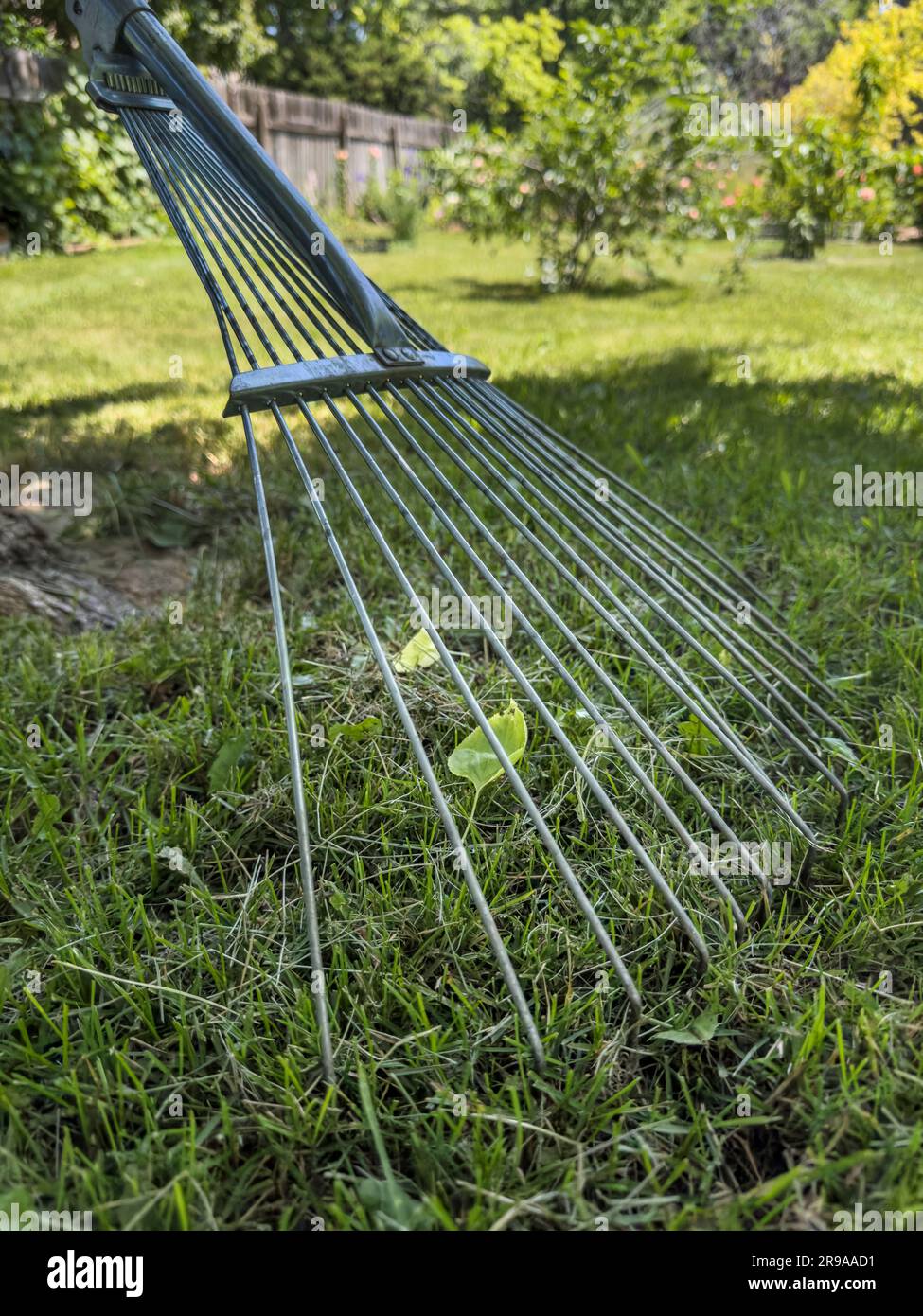 Adjustable rake hi-res stock photography and images - Alamy