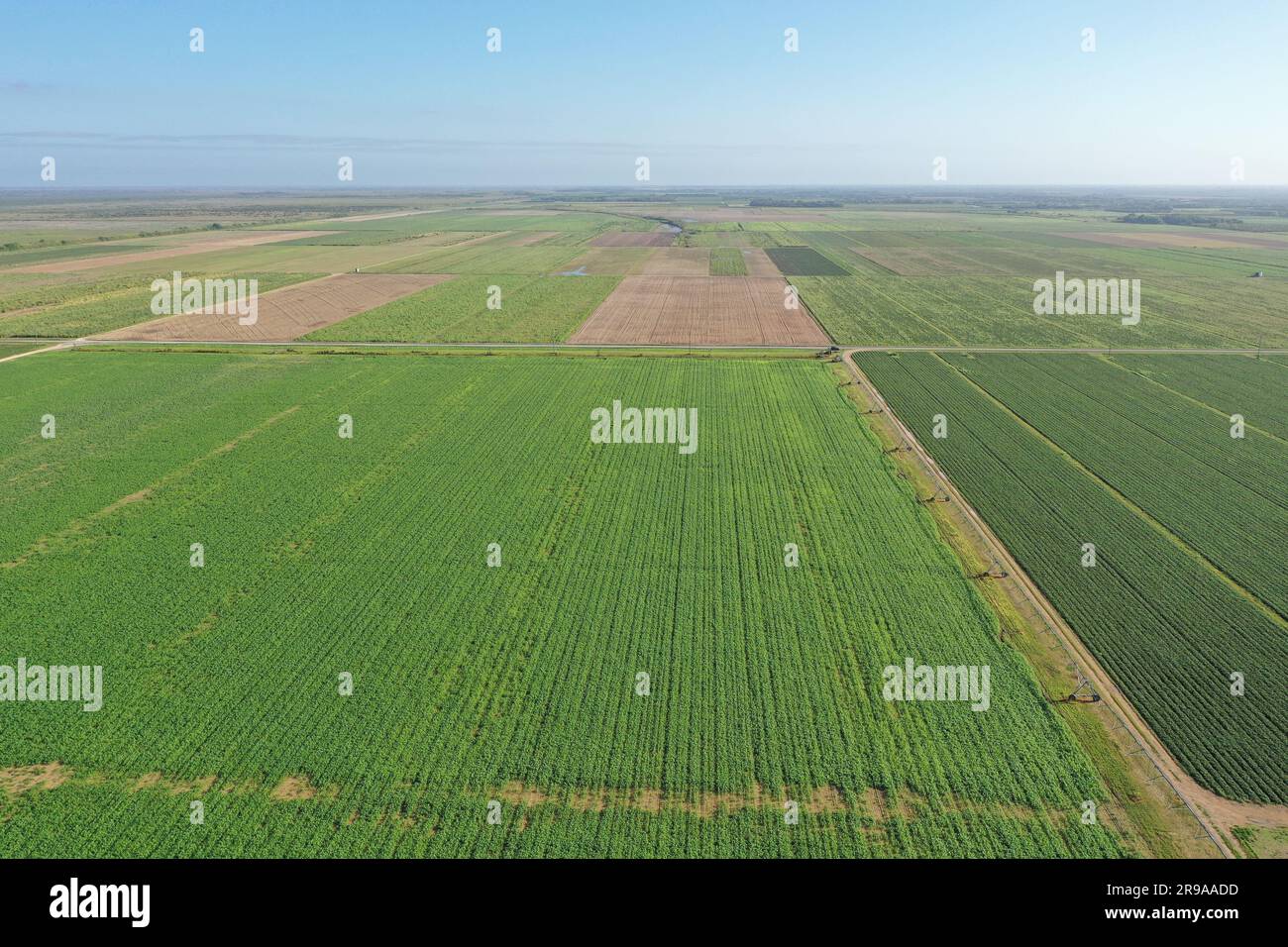 Aerial image of planted fields in Homestead, Florida agricultural area ...