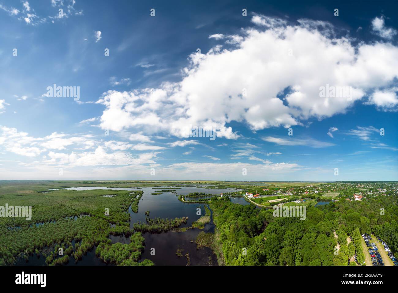 Panoramic aerial drone shot revealing beautiful green nature with trees ...