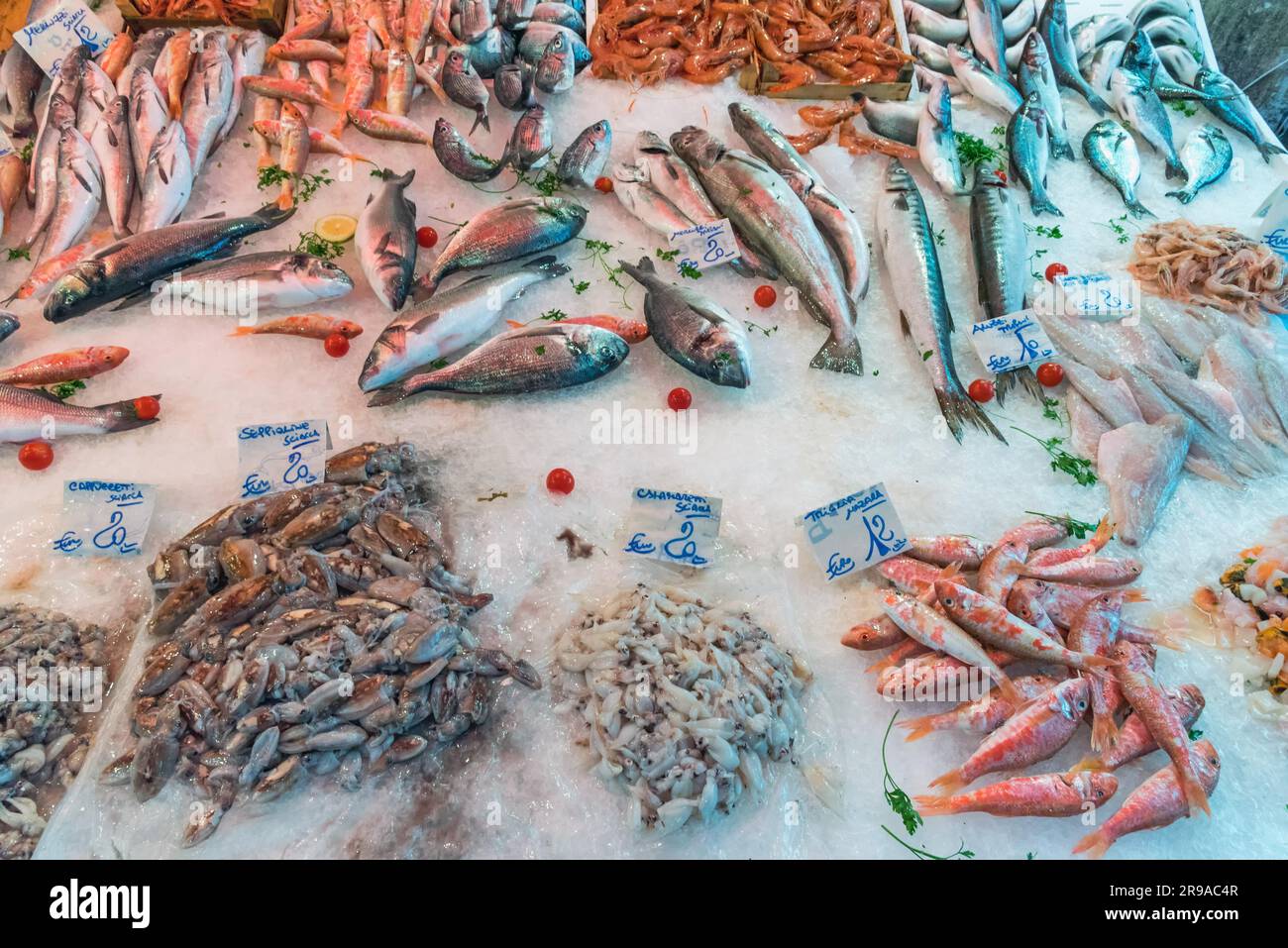 Fresh fish and seafood at a market in Palermo, Sicily Stock Photo - Alamy
