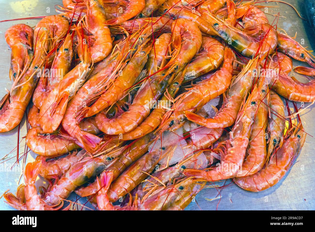 Fresh prawns at a market in Palermo, Sicily Stock Photo - Alamy