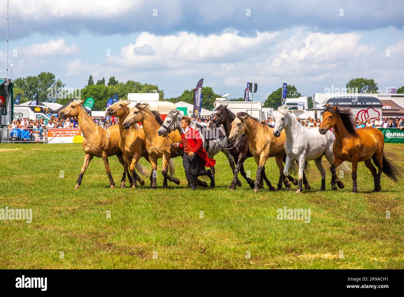 Ben Atkinson action horses giving a display at the Royal Cheshire ...