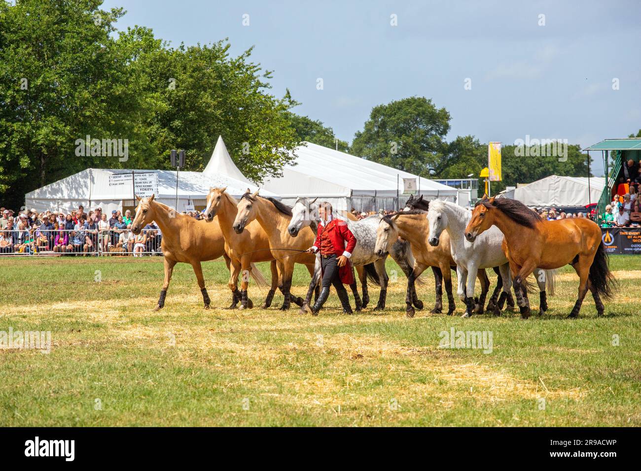 Ben Atkinson action horses giving a display at the Royal Cheshire ...