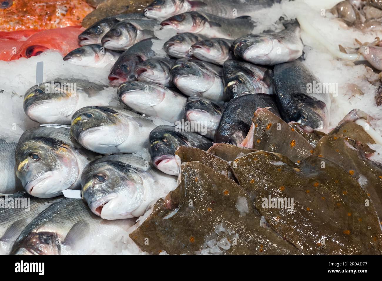 Fresh fish for sale at a market Stock Photo - Alamy