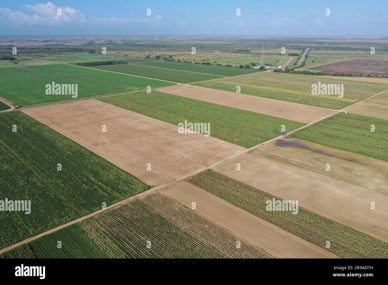 Aerial image of planted fields in Homestead, Florida agricultural area ...