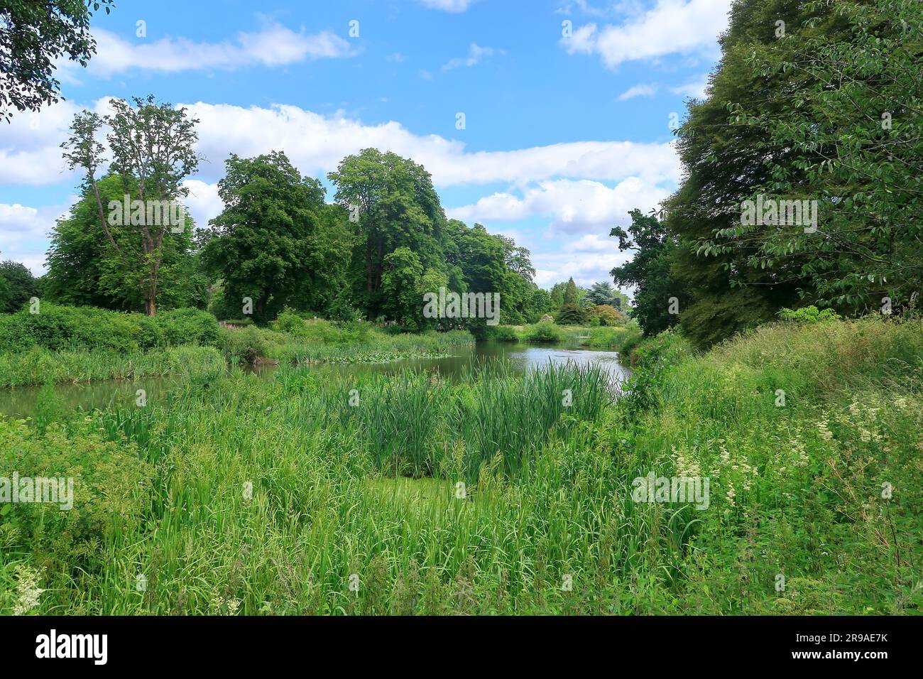 The River Eden in a Kentish woodland landscape scene Stock Photo - Alamy