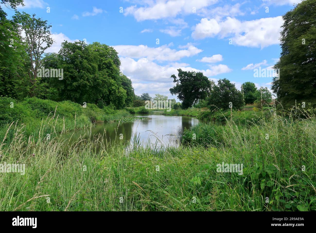 A beautiful woodland landscape around the River Eden Stock Photo - Alamy