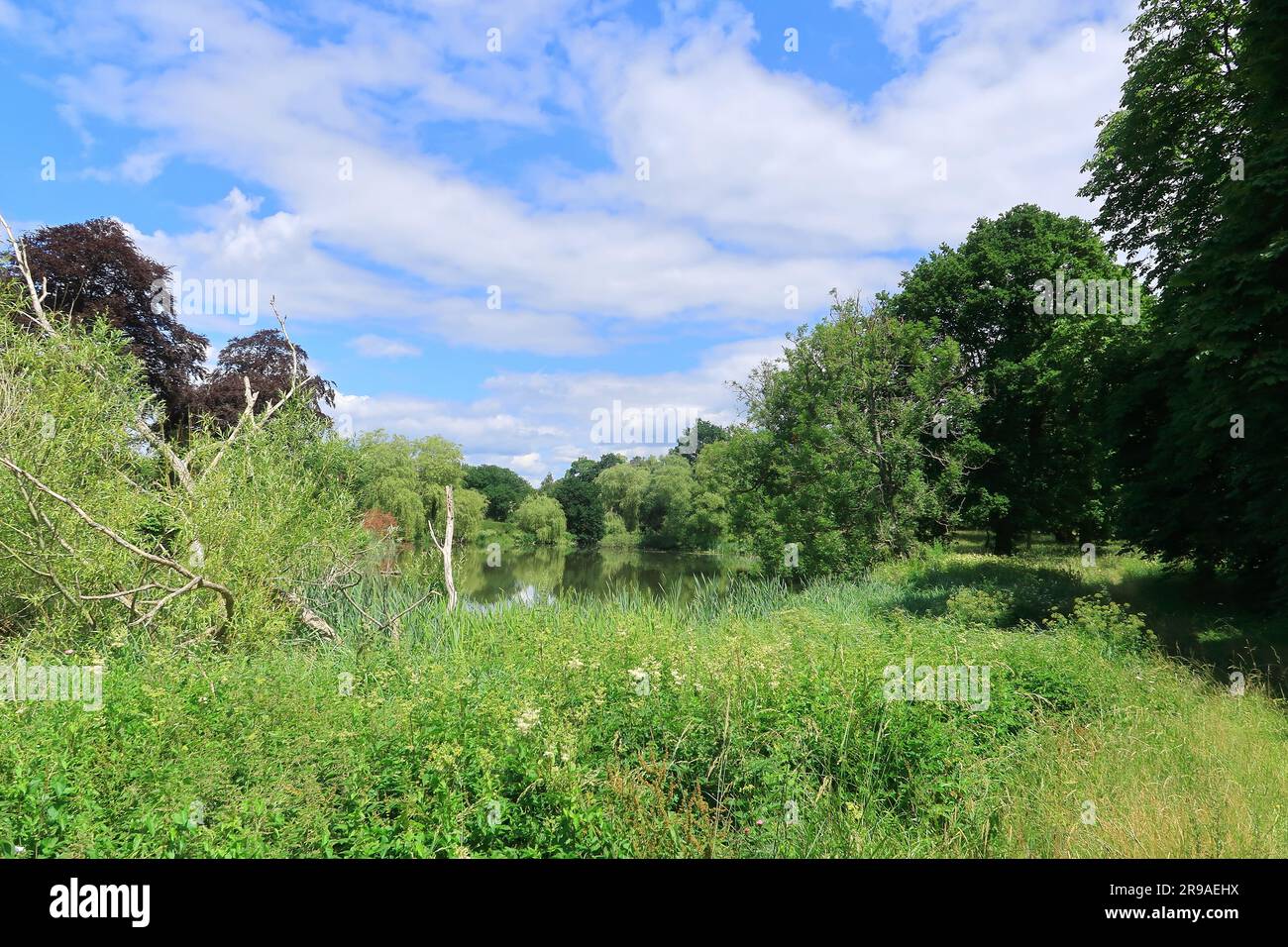 Beautiful woodland landscape hi-res stock photography and images - Alamy