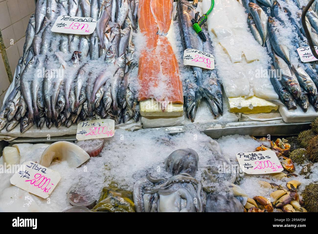Fish and seafood at the Mercado Central in Santiago, Chile Stock Photo ...