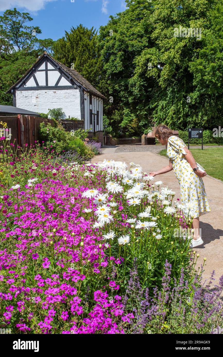 Perennial borders hi-res stock photography and images - Alamy