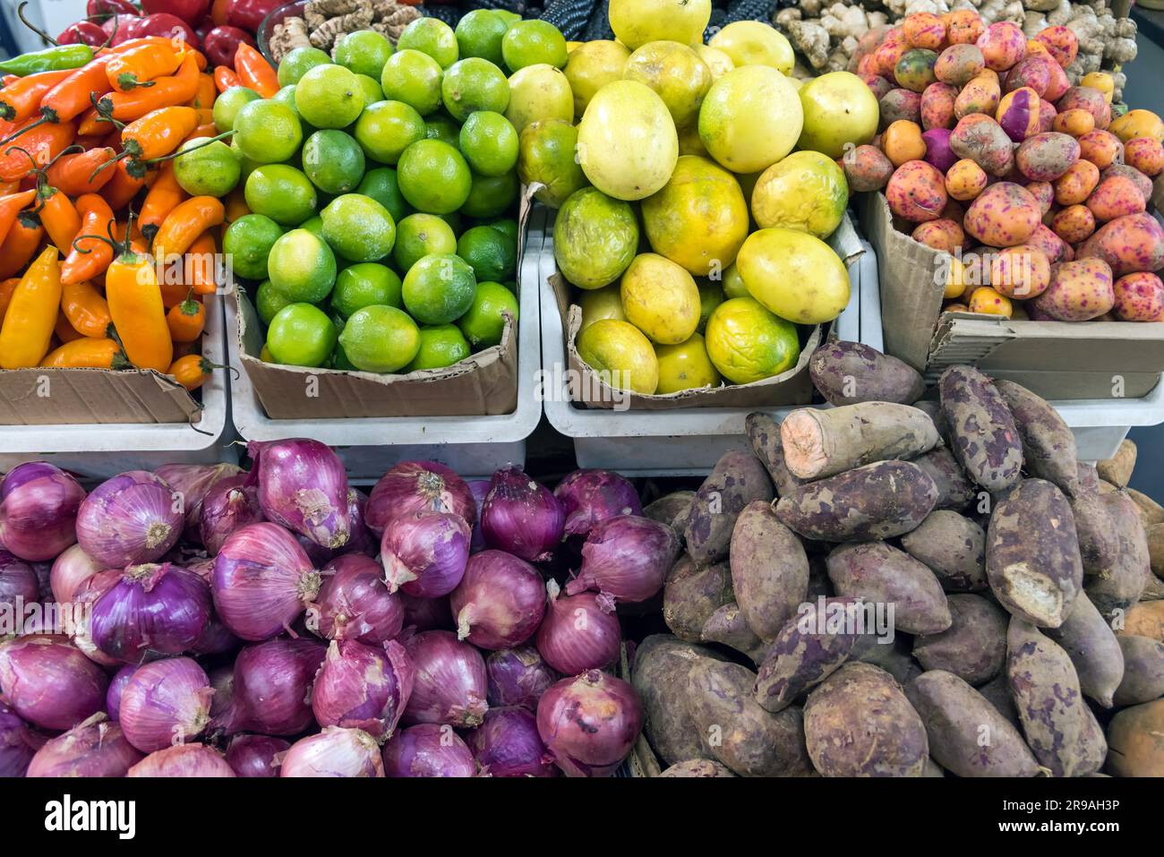 Vegetables and fruit for sale at a market in Santiago de Chile Stock ...