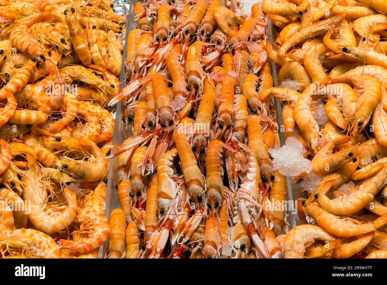 Fresh prawns for sale at a market in Madrid, Spain Stock Photo - Alamy