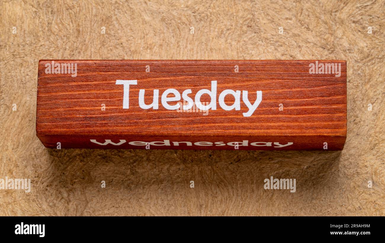 Tuesday and Wednesday text on wooden block against handmade bark paper ...