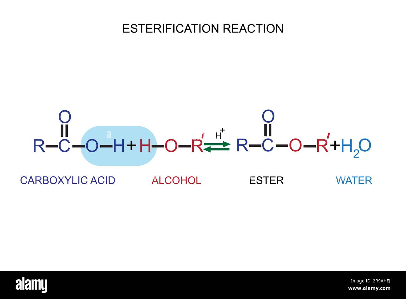 A close up of a laboratory beaker containing the components of an ...