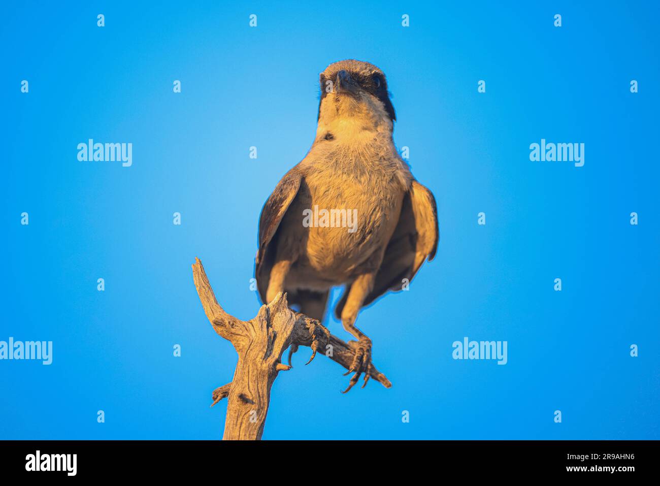 Poniente de mexico hi-res stock photography and images - Alamy