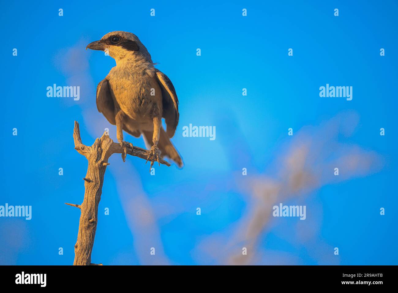 Poniente de mexico hi-res stock photography and images - Alamy