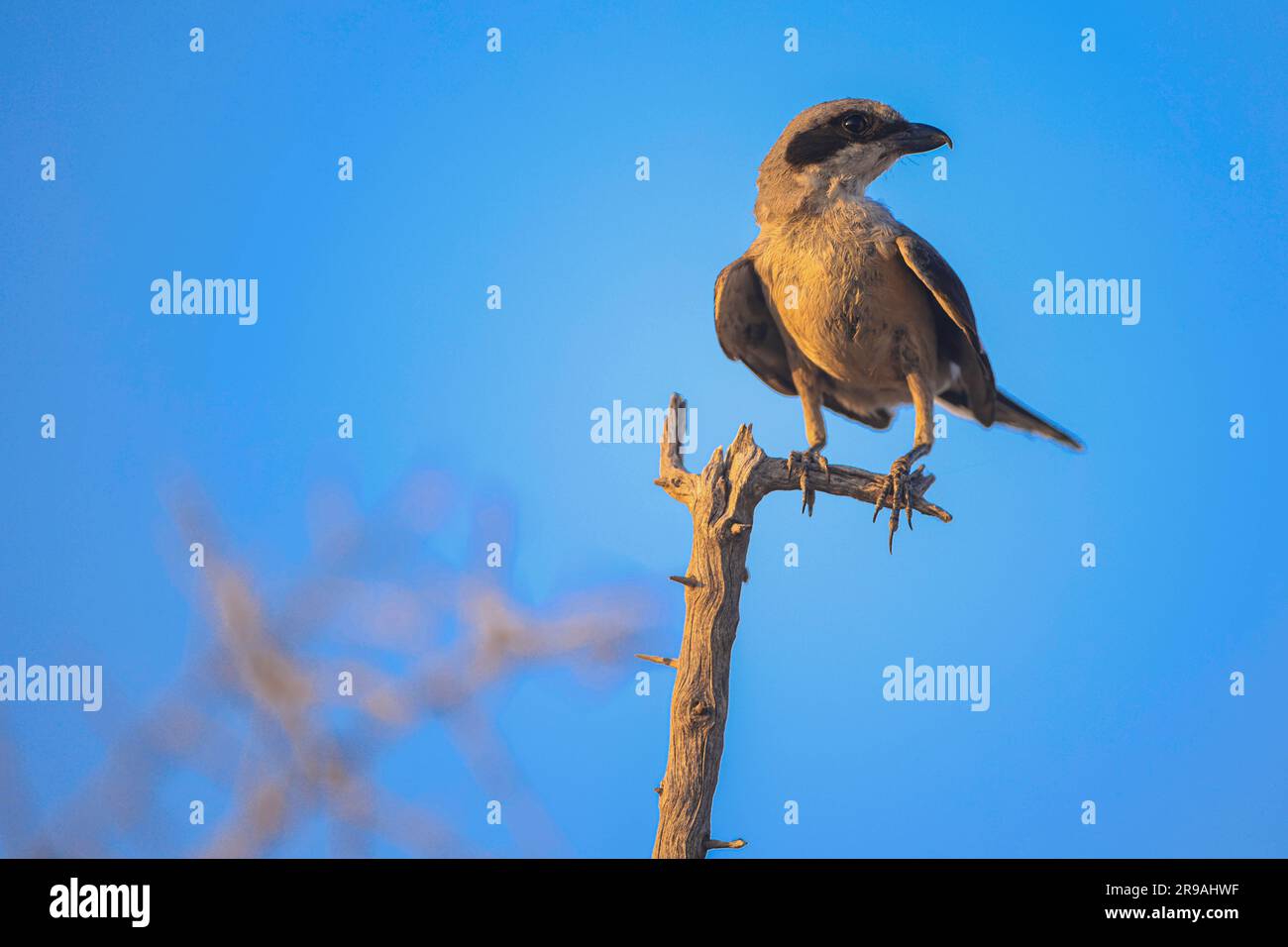 Poniente de mexico hi-res stock photography and images - Alamy