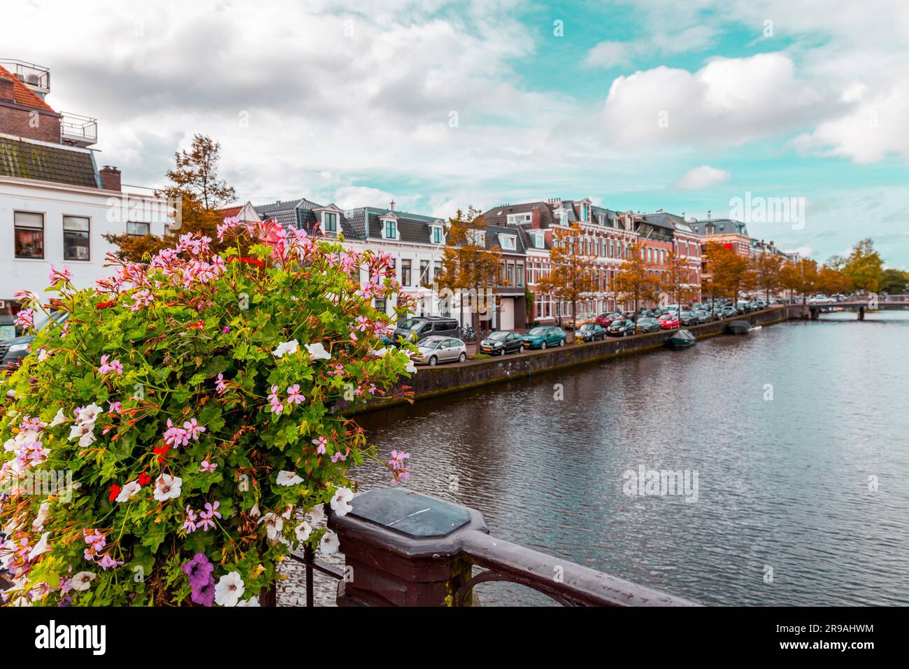 Canals and typical dutch architecture in Haarlem, the capital of the ...