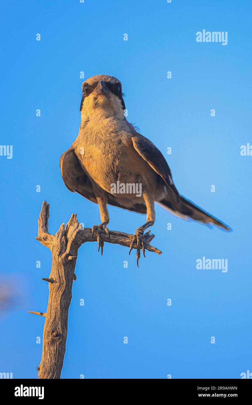Poniente de mexico hi-res stock photography and images - Alamy