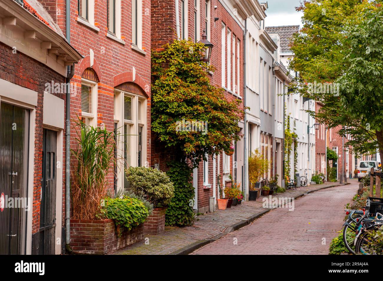 Street view and generic architecture in Haarlem with typical Dutch ...
