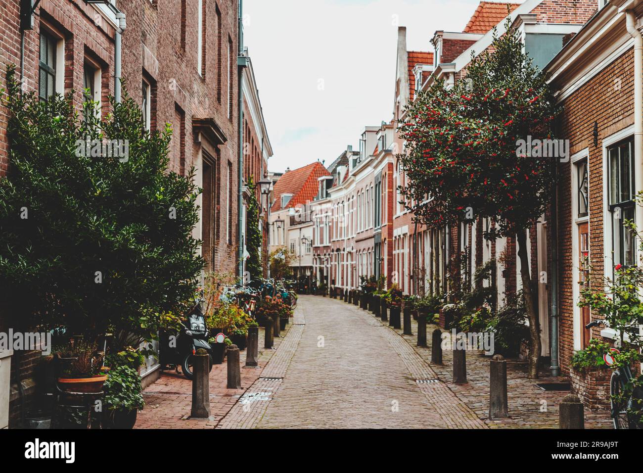 Street view and generic architecture in Haarlem with typical Dutch ...