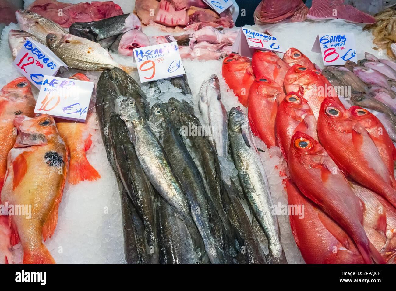 Redfish and other fish at a market in Madrid Stock Photo - Alamy