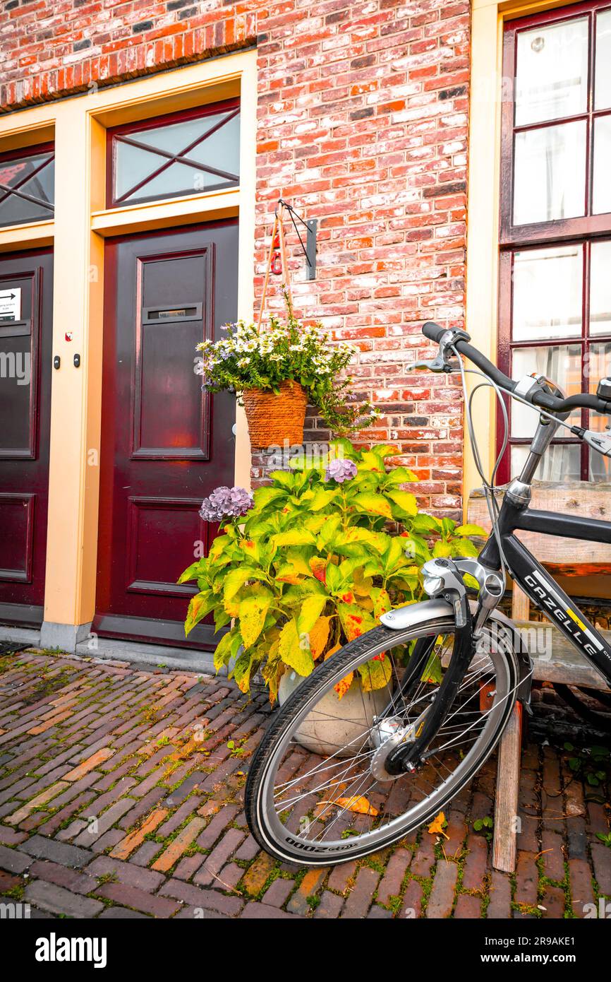 Utrecht, Netherlands - October 9, 2021: Beautiful plants and flowers ...