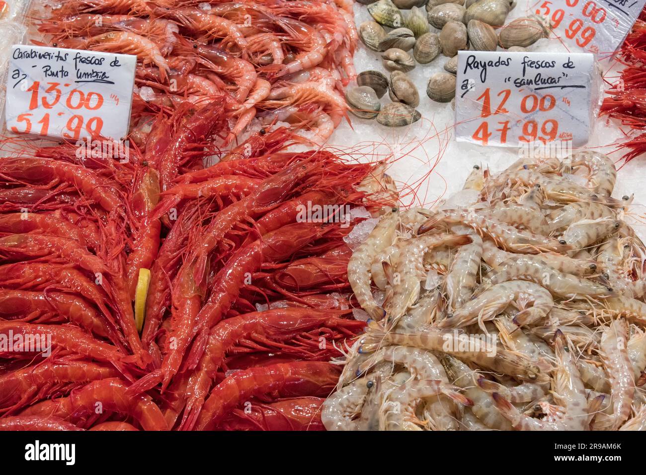 Types of shellfish hi-res stock photography and images - Alamy