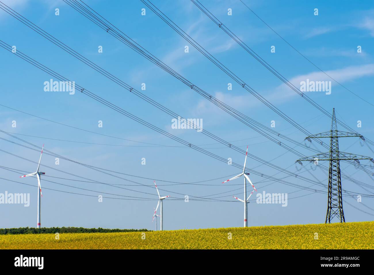 Overhead power lines in a flowering rape field seen in rural Germany ...