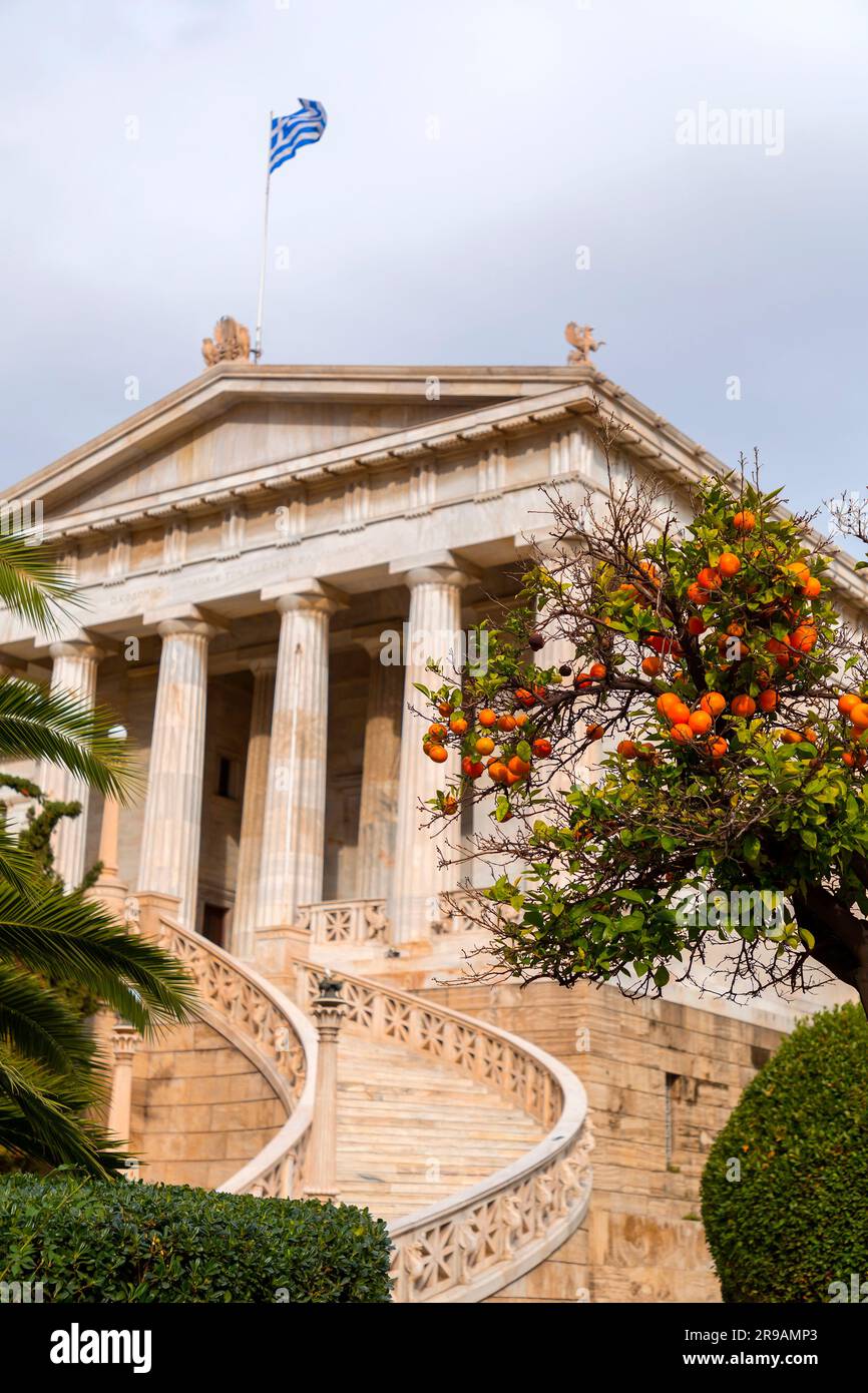 Orange trees in the garden of the Academy of Athens, Greece's national ...