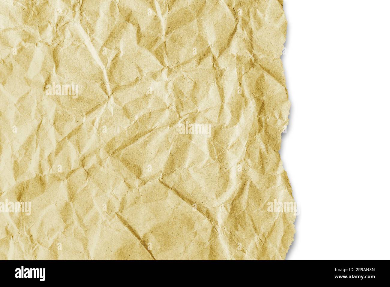 Recycled crumpled yellow paper texture with a torn edge isolated on ...