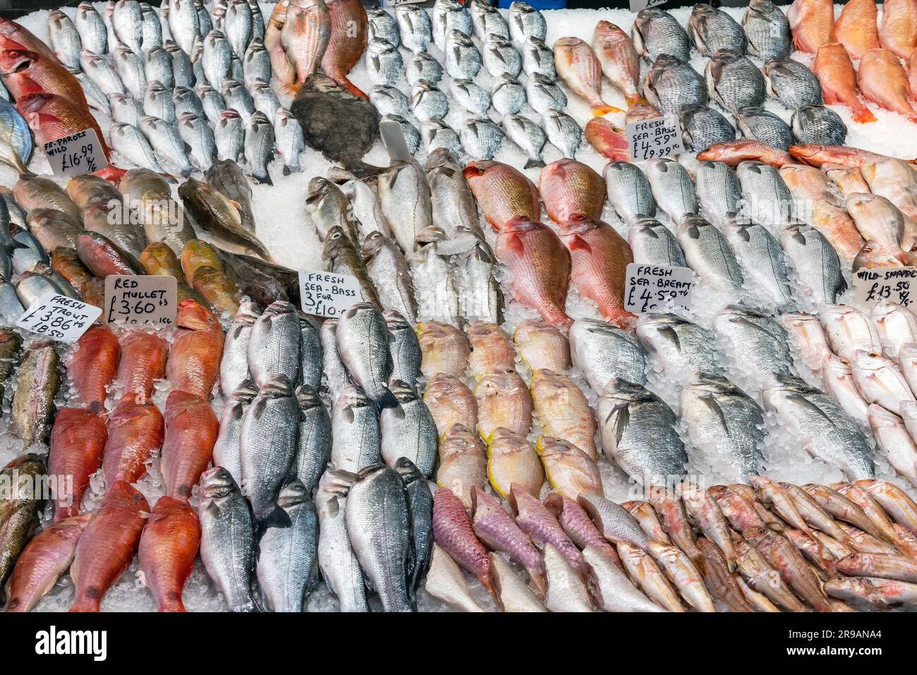 Large selection of fish at a market in London, Great Britain Stock ...