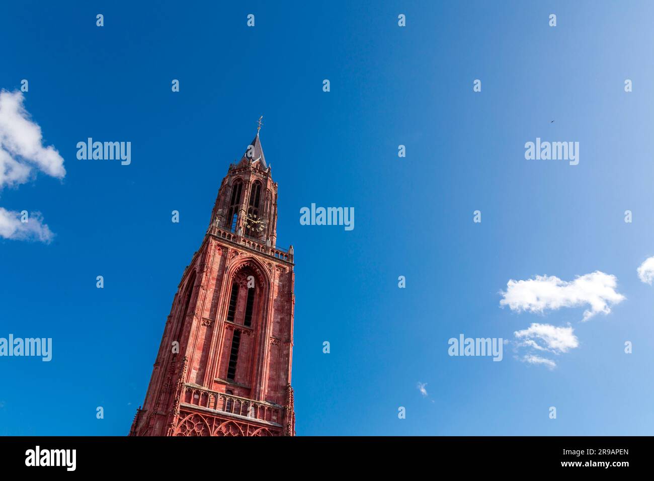 The limestone gothic tower of the Sint Janskerk in Maastricht. It was ...