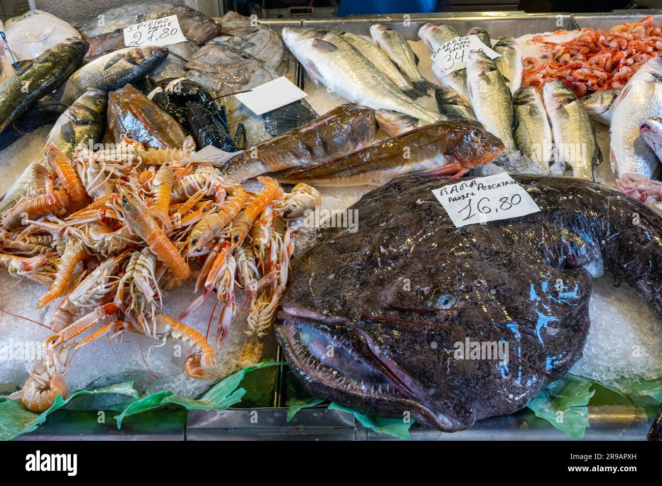 Different types of fish and seafood for sale at a market in Venice ...