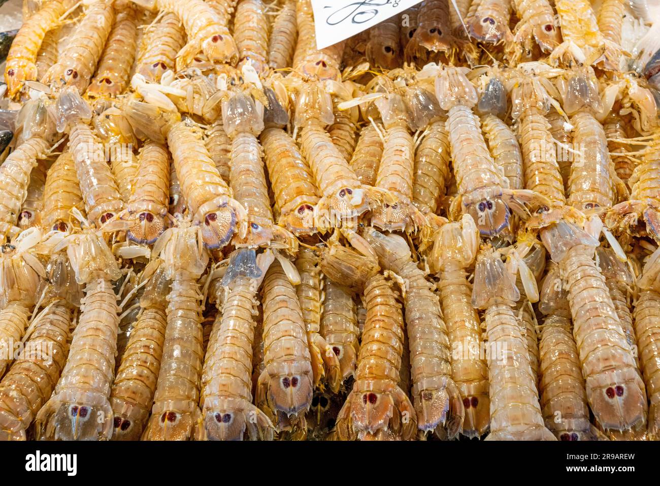 Shellfish pile hi-res stock photography and images - Alamy