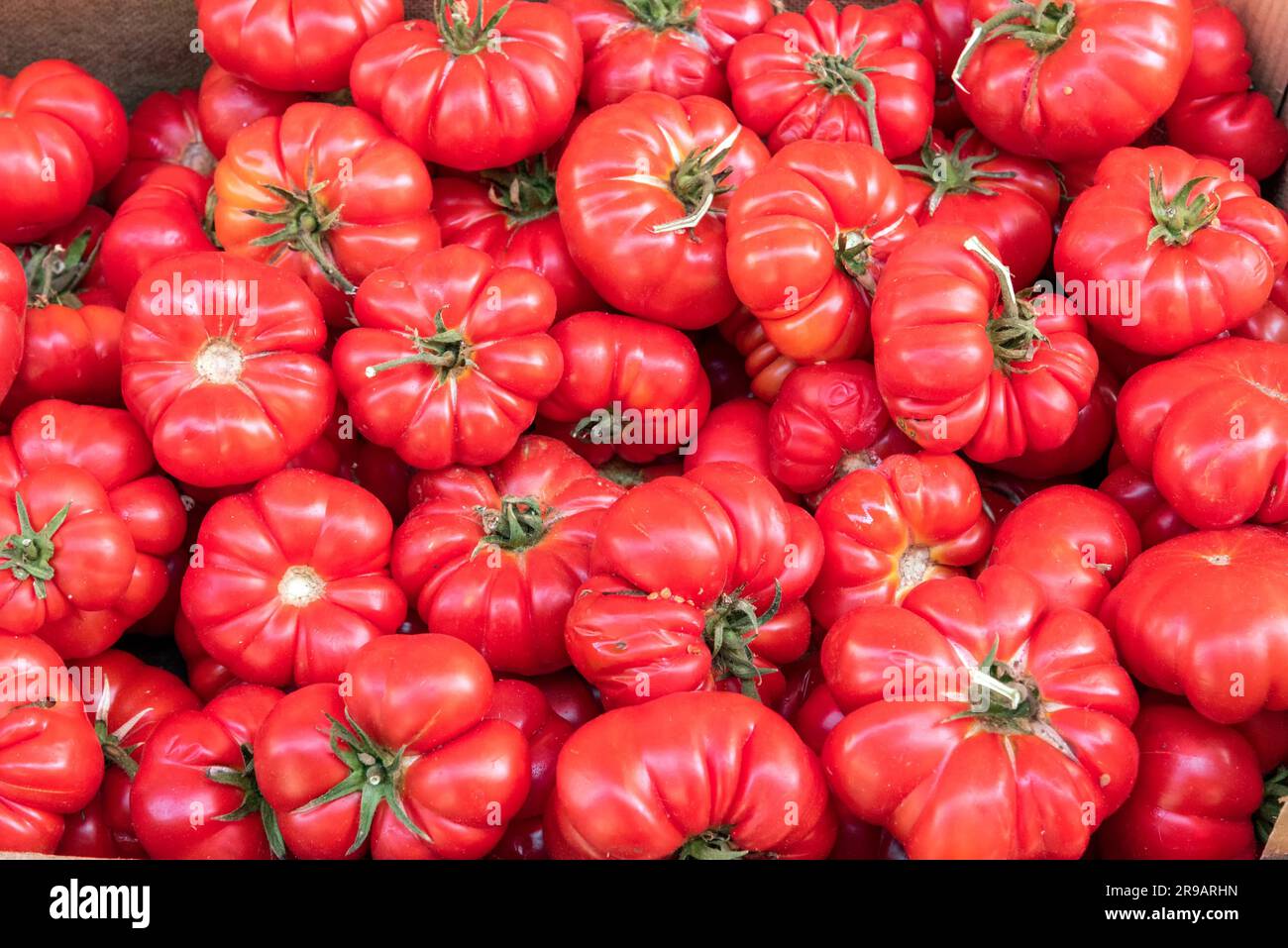 Sicilian ribbed tomatoes for sale at a market Stock Photo - Alamy