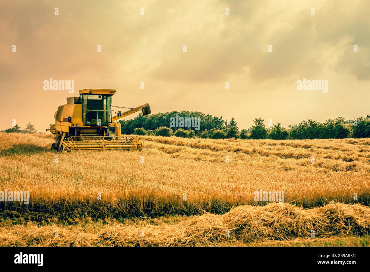 Big harvester hi-res stock photography and images - Alamy