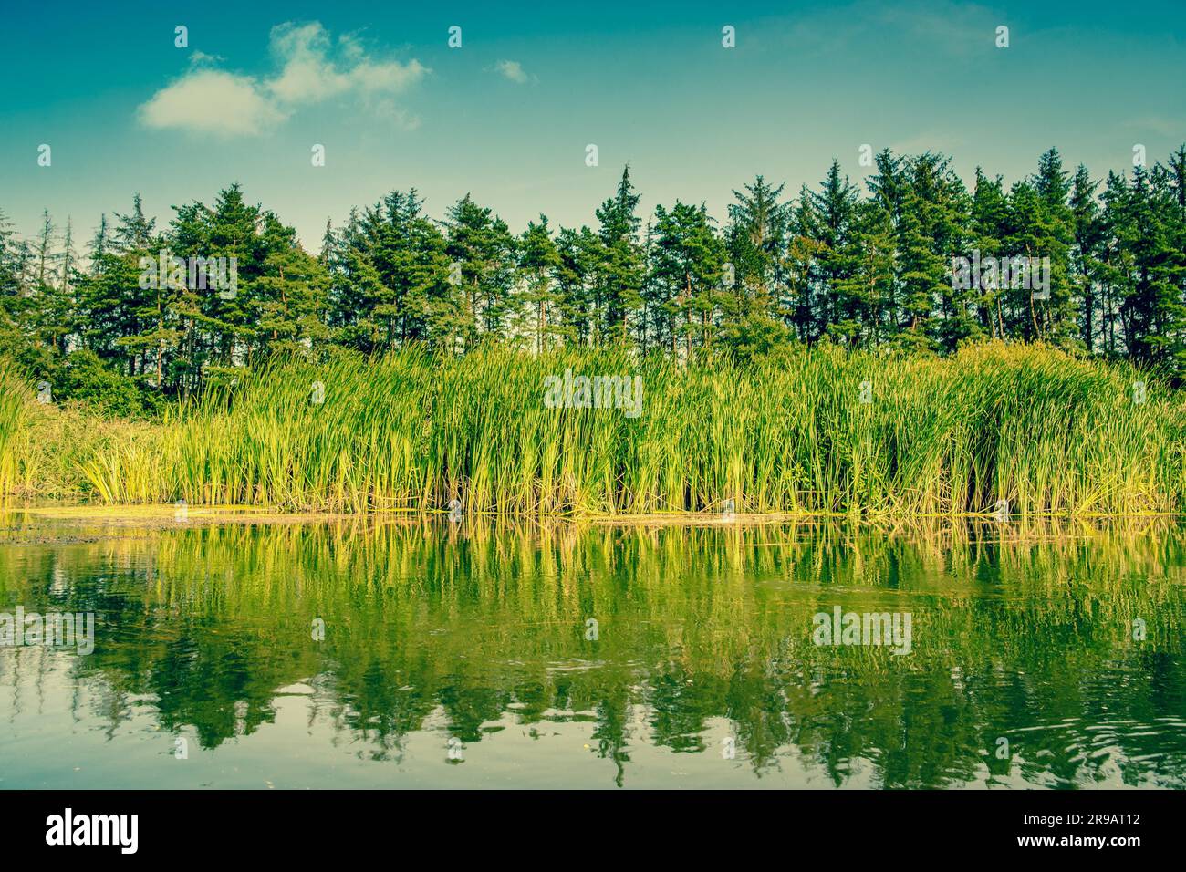 High resolution photo in best quality Stock Photo - Alamy