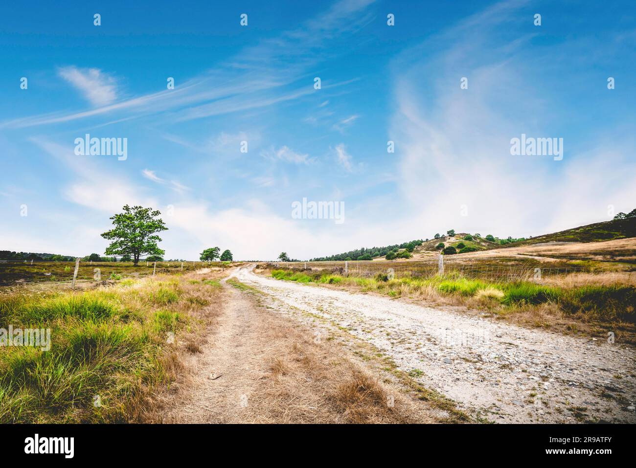 Roadside grass hi-res stock photography and images - Alamy
